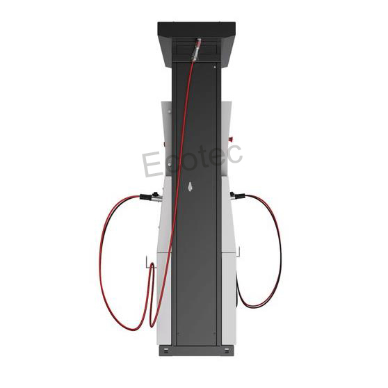 Ecotec Double Nozzle CNG Dispenser for CNG Station from China ...